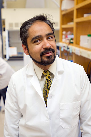 Muhammad Zaman » Kilachand Honors College | Boston University